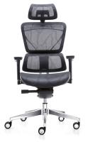 China Breathable 0.317m3 W650mm Office Mesh Chairs Dual Backrests for sale