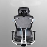 China Breathable 0.317m3 W650mm Office Mesh Chairs Dual Backrests for sale