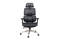 China Nylon Mesh PA66 Tall Back Office Chair Aluminum Base 3D Armrest for sale