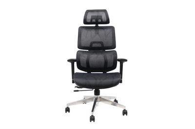 China Nylon Mesh PA66 Tall Back Office Chair Aluminum Base 3D Armrest for sale
