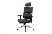 China Nylon Mesh PA66 Tall Back Office Chair Aluminum Base 3D Armrest for sale