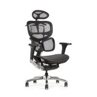 China Manager Task Mesh Chairs Torsion Knobs Adjustable Lumbar OEM for sale