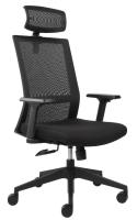 China Ergonomic 620*610*1220mm Manager Mesh Chair With Armrest for sale