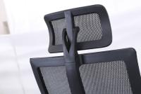 China 4 Supporting Points Executive Mesh Office Chair , DIOUS Flip Arm Office Chair for sale