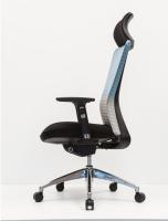 China PC Desk 90-115d High Back Mesh Office Chair DIOUS Moded Foam for sale