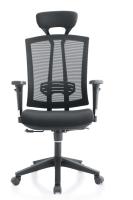 China Moded Foam 45KG/M3 Mesh Back Computer Chair 2.5mm Steel Plate for sale