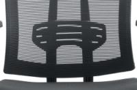 China Moded Foam 45KG/M3 Mesh Back Computer Chair 2.5mm Steel Plate for sale