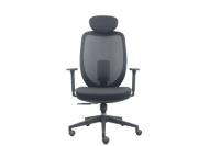 China H1165-1260MM Office Ergonomic Chairs With Adjustable Armrest for sale