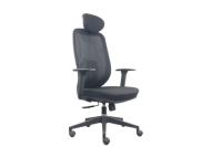 China H1165-1260MM Office Ergonomic Chairs With Adjustable Armrest for sale