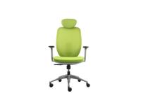 China Green Mesh Adjustable Ergonomic Chair , H1165-1260MM Ergo Computer Chair for sale