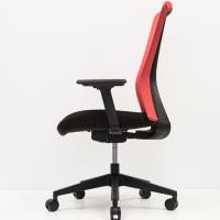 China Chrome Mesh Height Adjustable Office Chair DIOUS TUV Certified for sale