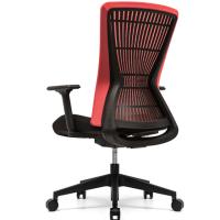 China Chrome Mesh Height Adjustable Office Chair DIOUS TUV Certified for sale