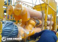 China Flexible Auger Screw Conveyor Machine For Powder Conveying LSY219 LSY273 LSY325 for sale