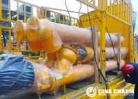 China LSY325 Industrial Vertical Screw Conveyor For Building Materials / Chemical Industry for sale