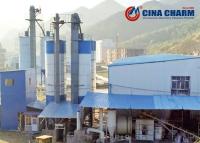 China 10t/H Dry Mortar Mixing Plant Professional Tile Adhesive Making Machine for sale