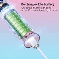 China Soft Bristle Electric Toothbrush with IPX7 Waterproof Rating and Rechargeable Battery for Travel Use for sale