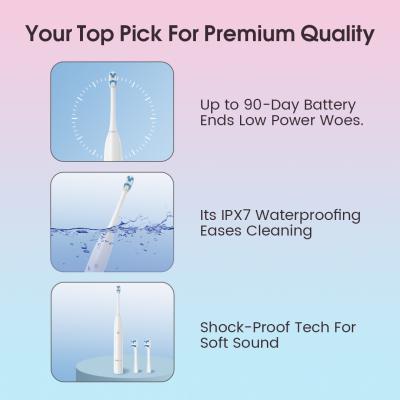 China ABS Material LED Electric Toothbrush with USB Type-C Charging IPX7 Waterproof Rating for Professional OEM Manufacturing for sale