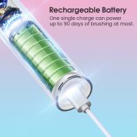 China ABS Material LED Electric Toothbrush with USB Type-C Charging IPX7 Waterproof Rating for Professional OEM Manufacturing for sale