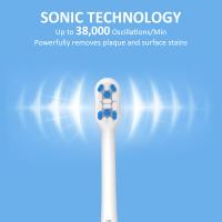China OEM IPX7 Rechargeable Electric Toothbrush USB Power Soft Bristles Waterproof 15000 Units Daily Output for sale