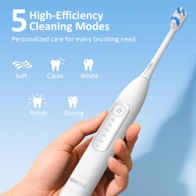 China IPX7 Portable Smart Electric Toothbrush Set with Eco Friendly Design for Adults for sale