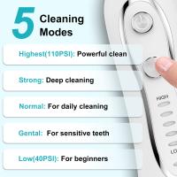 China B. WEISS Electric Water Flosser with 300ML Tank & 5 Pressure Modes - Cordless Oral Irrigator with 2500mAh Battery for sale