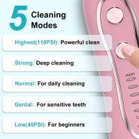 China 5 Mode Electric Water Flosser with 310ml Tank and 2500mAh Battery for Professional Oral Care for sale
