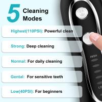 China 300ml Dental Water Flosser with 8 Nozzles - Portable Oral Irrigator for OEM/ODM Customization for sale