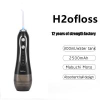 China Portable Electric Water Flosser with 5 Pressure Modes, 300ml Tank & IPX7 Waterproof Rating for sale