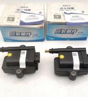 China Power WP15 Engine Module Ignition Coil Parts with 1.5 Year Warranty for Natural Gas Series 1kg Made in China for Report for sale
