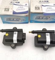 China Power WP15 Engine Module Ignition Coil Parts with 1.5 Year Warranty for Natural Gas Series 1kg Made in China for Report for sale