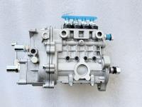 China Quanchai C06 Tractor Diesel Engine Fuel Injection Pump Assembly National Second 4QTF688/2409002110107 1.5 Year Machinery Parts for sale