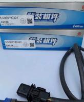 China WP10 Natural Gas Engine & WP13 Parts 612600190224 Front Oxygen Sensor with 1 Year Warranty for Machinery Engine Weichai Original for sale