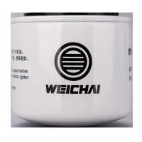 China Weichai Diesel Fuel Filter Element 1000002416 for Engine Model 6HH1 1.5 Year Warranty 1kg for sale