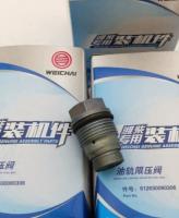 China Weichai EFI Original Factory Diesel Oil Rail Pressure Limiting Valve Screw 612630080306 Safety Valve 6-Month Warranty Machinery for sale