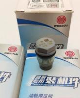 China Weichai EFI Original Factory Diesel Oil Rail Pressure Limiting Valve Screw 612630080306 Safety Valve 6-Month Warranty Machinery for sale