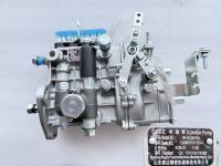 China Quanchai 4B2 Diesel Fuel Injection Pump Assembly 6 Months Warranty Certified for Report Video Inspection for Engine Parts for sale
