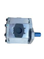 China Hangcha Heli Small Five Ton Forklift Gear Oil Pump Hydraulic Pump CBQ-F550AFHL-40DH 1 Year 2.2kw 12V Industrial Equipment for sale