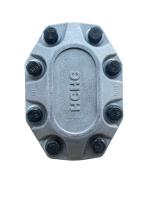China Hangcha Heli Small Five Ton Forklift Gear Oil Pump Hydraulic Pump CBQ-F550AFHL-40DH 1 Year 2.2kw 12V Industrial Equipment for sale