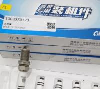 China Weichai Spark Plugs for Natural Gas Engine 4h1 Model 430/460 HP 1.5 Year Warranty Part Number 1003373173 China Origin 0.5kg for sale