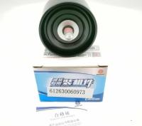 China Weichai Diesel Original 612630060973 IDler & Tensioner Pulley for P12/P13 Belt Engine Model 6HH1 Piston Type for sale