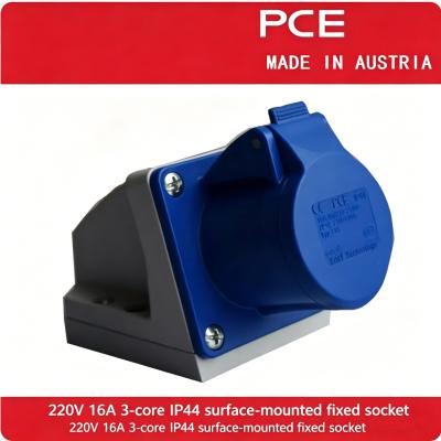 China Austrian Imported PCE Industrial Waterproof Plastic Plug with Socket 220V 16A 3-Pin IP54-Model 113 for sale