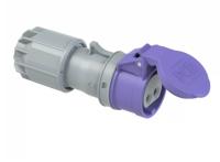 China PCE Industrial Plug and Socket Low Voltage 24V 16A 2P 50/60Hz IP44/026V+262V for sale