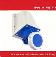 China PCE Plastic Plug Female Industrial Connector Mobile Socket 220V-16A-3-Core-IP67-Typ2132 for sale