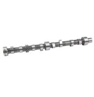 China Original Brand New High Quality Quanchai 2409000600100 Diesel Engine Spare Parts QC480 Camshaft with Original Packing for sale