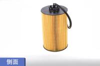 China Weichai Ruili Genuine Diesel Engine  Filter Element WP2.3N4.1N Tiger VN Tiger VH Original 1000491060 for sale