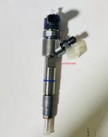 China Quanchai Original 4C6 Diesel Injector Rivo Baobao Tractor Ward Harvester Model 2409002510045 China 0.5kg 6 Month for sale