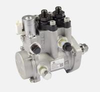 China Original Brand New Genuine OEM 1002328458 Weichai WP4.6NQ Series Fuel Injection Pump Assembly for Diesel Engine Repair for sale