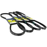 China Anhui Quanchai Diesel Forklift Water Pump Fan Belt QC480/QC490 Engines 3 Months Warranty 2kg Video & Machinery for Reports for sale