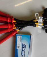 China Weichai Original 6HH1 Ignition System Xiang Torch High Voltage New Humvee Natural Gas Engine Assembly 1 Year Warranty China for sale