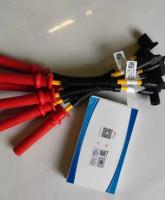 China Weichai Original 6HH1 Ignition System Xiang Torch High Voltage New Humvee Natural Gas Engine Assembly 1 Year Warranty China for sale